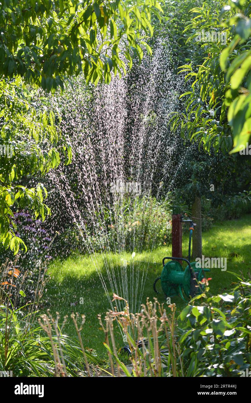 In summer, the garden works a sprinkler system irrigation Stock Photo ...