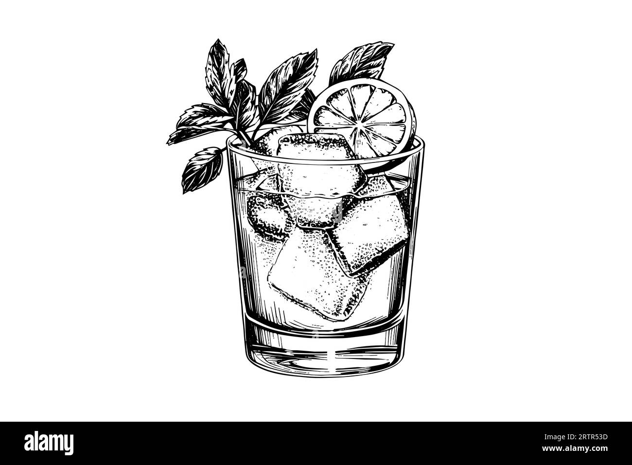 Mojito cocktail engraved isolated drink vector illustration. Black and ...