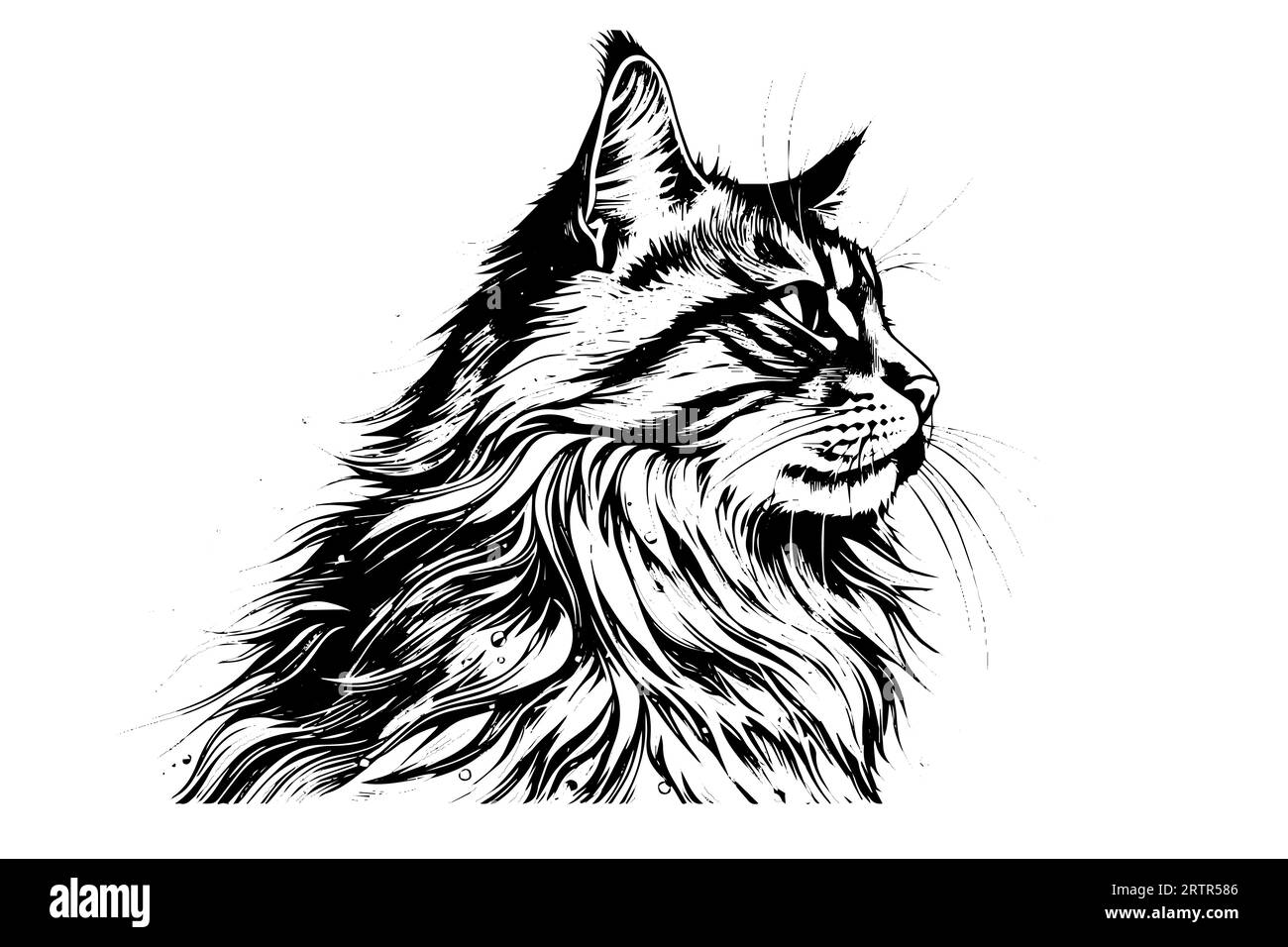 Cute cat portrait hand drawn ink sketch engraving vintage style.Vector ...