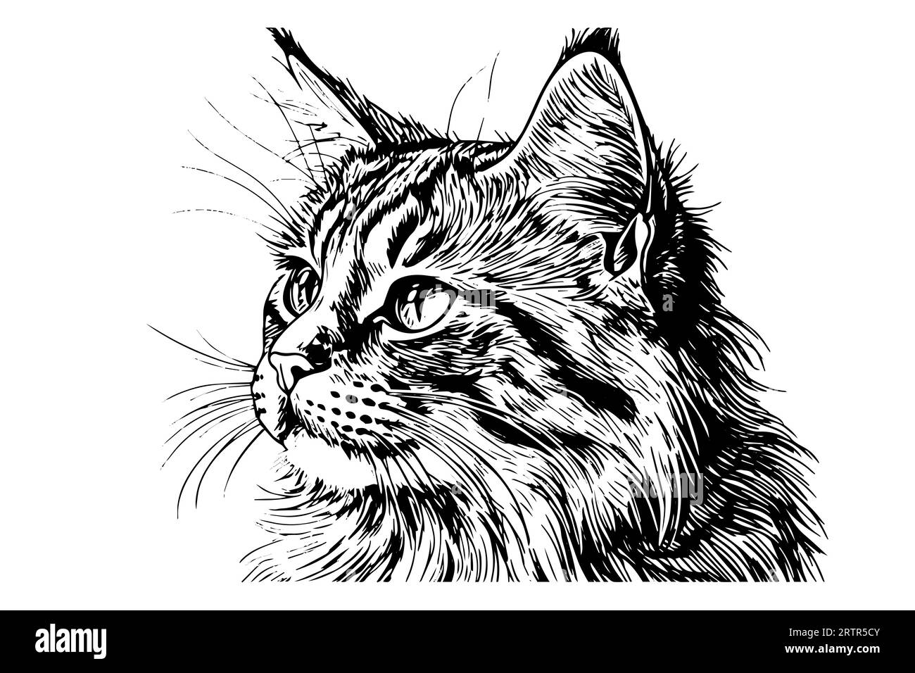 Cute cat portrait hand drawn ink sketch engraving vintage style.Vector ...
