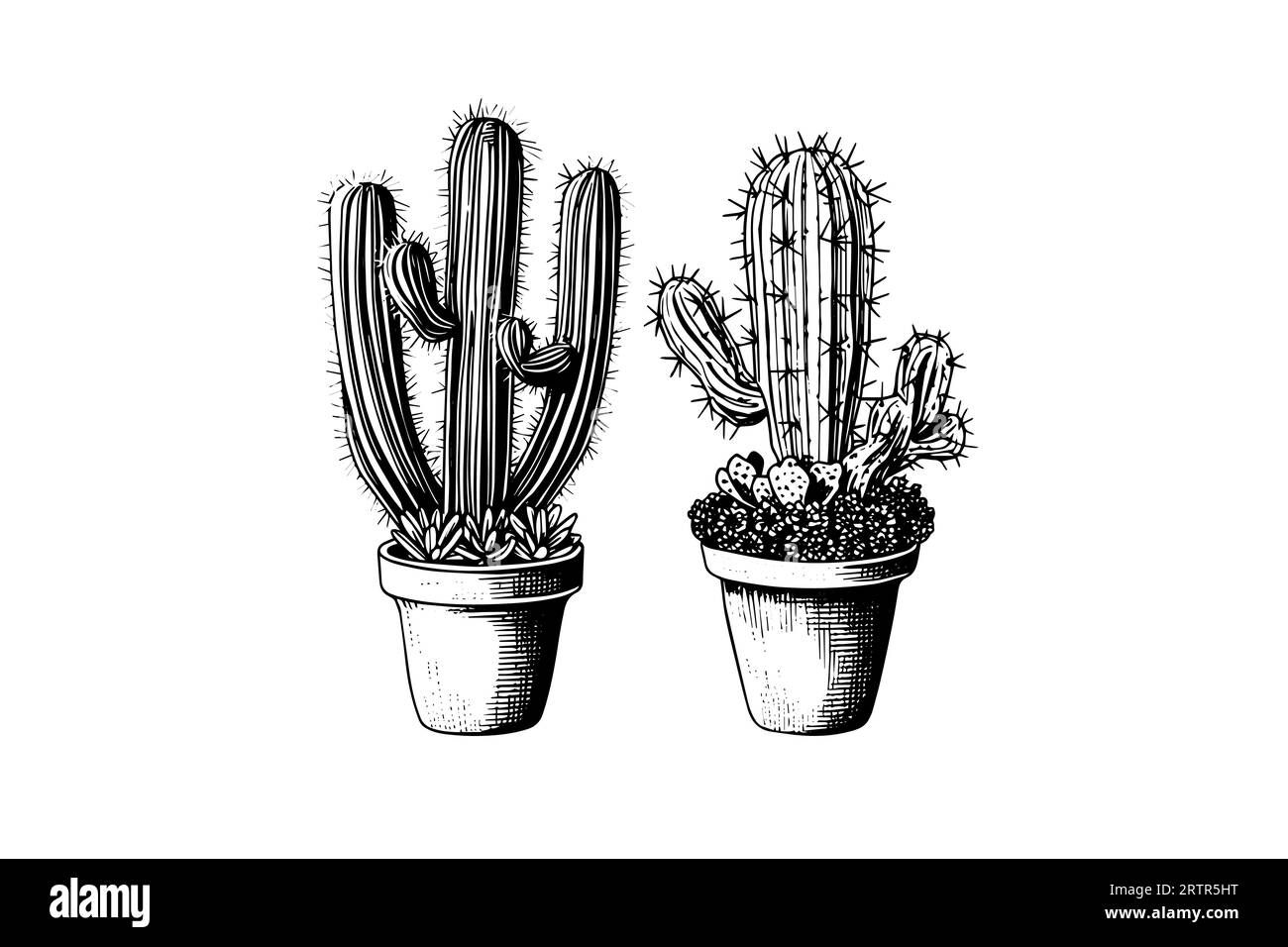 Set of cactuses hand drawn ink sketch. Engraving style vector ...
