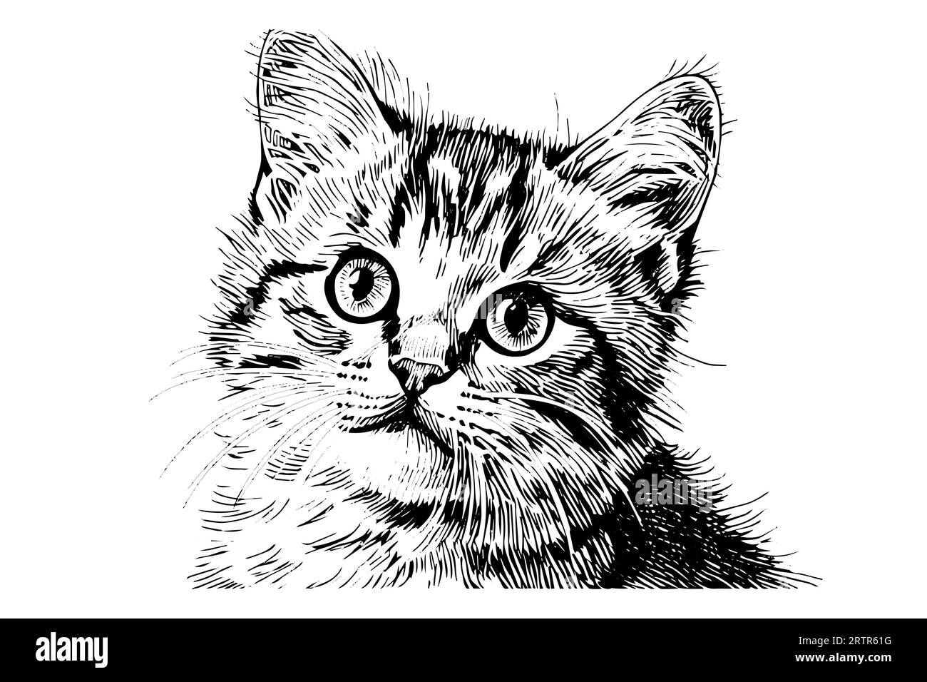 Cute cat portrait hand drawn ink sketch engraving vintage style.Vector ...