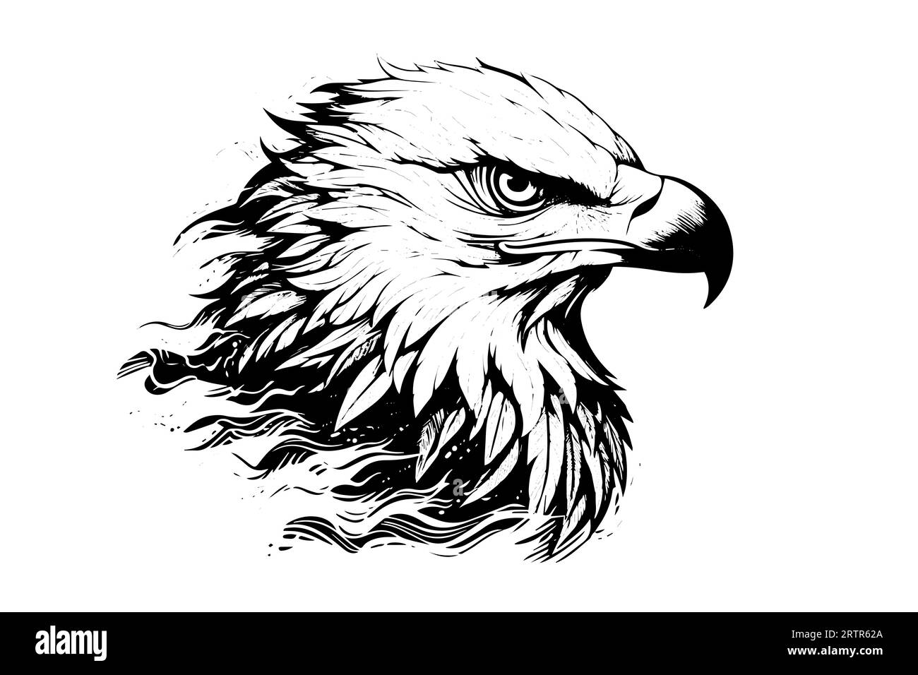Eagle head logotype mascot in engraving style. Vector illustration of ...