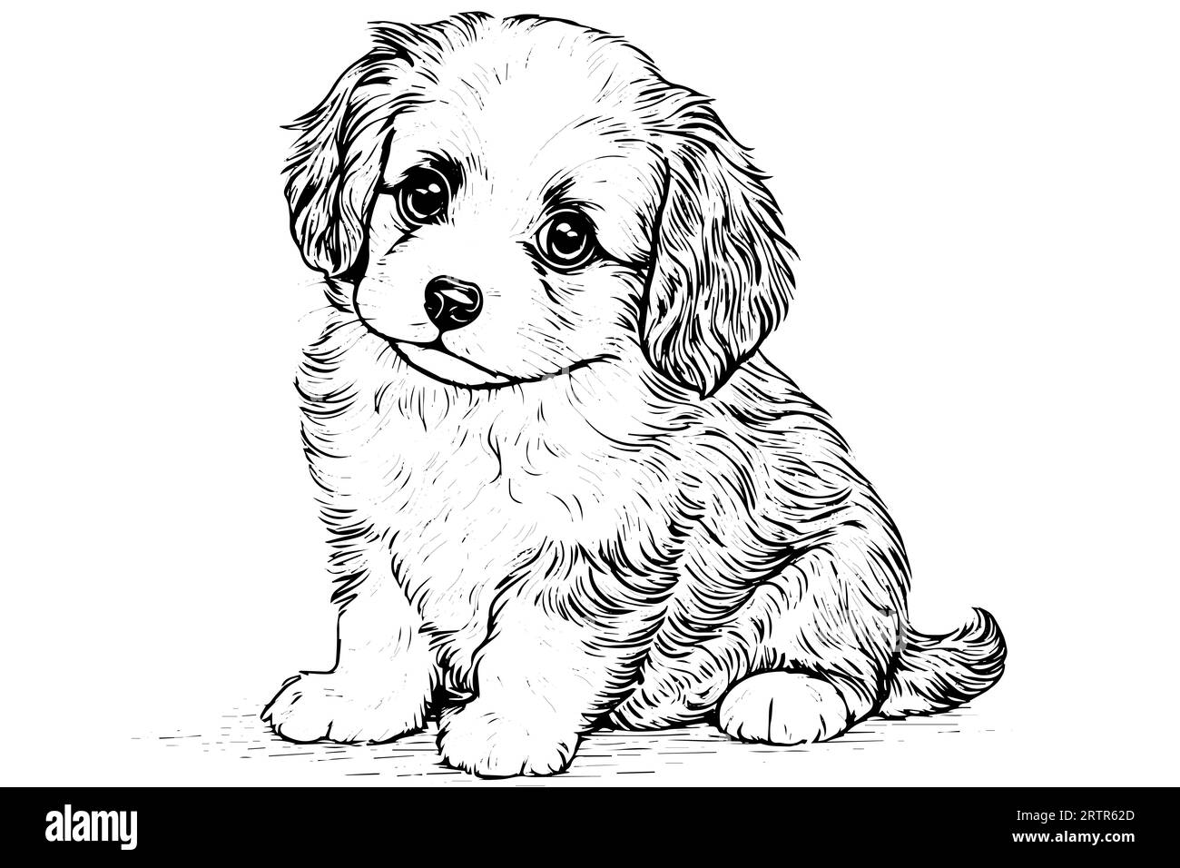Cute puppy hand drawn ink sketch. Dog in engraving style vector ...