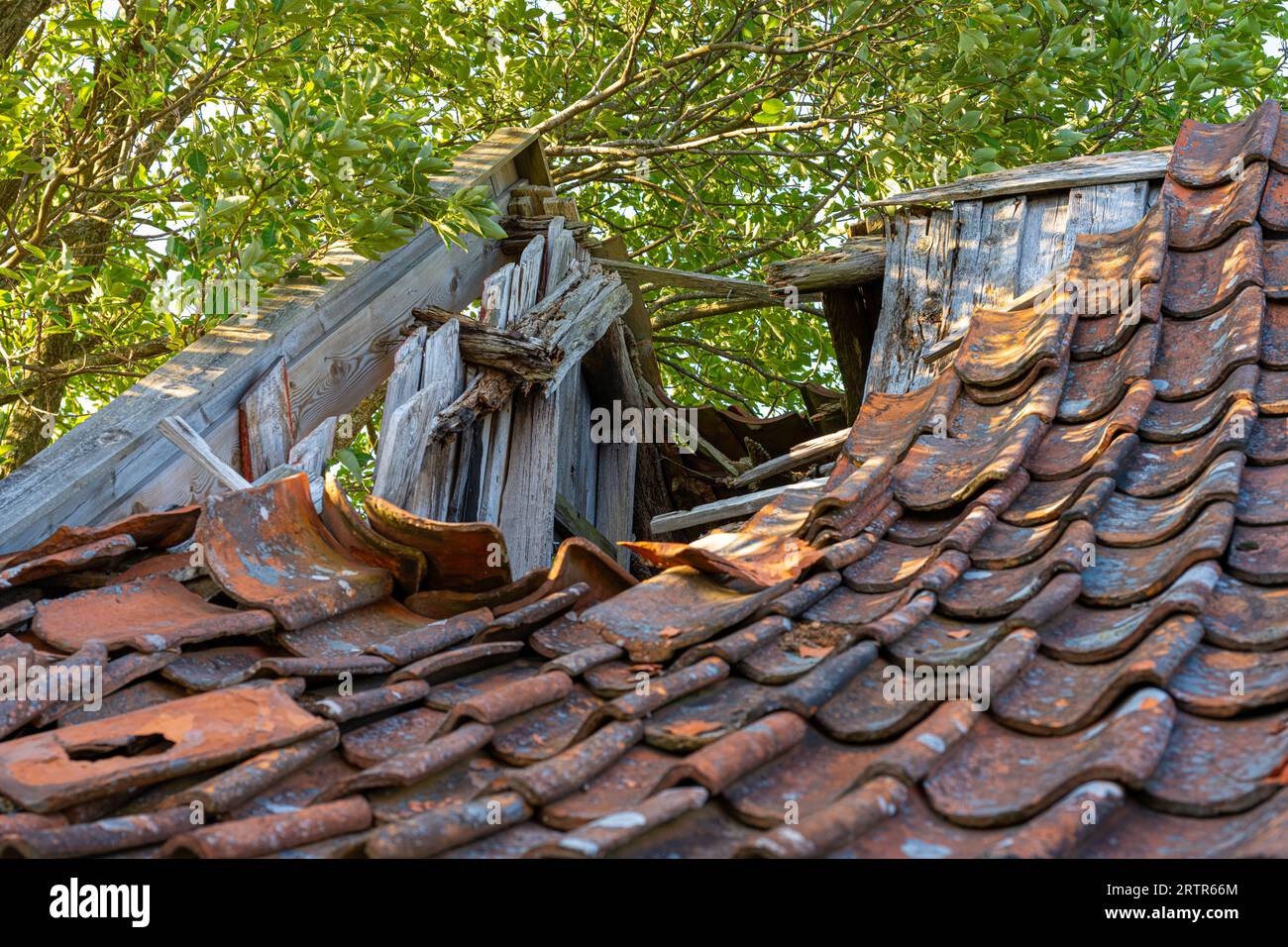 Barn collapsed roof hi-res stock photography and images - Alamy