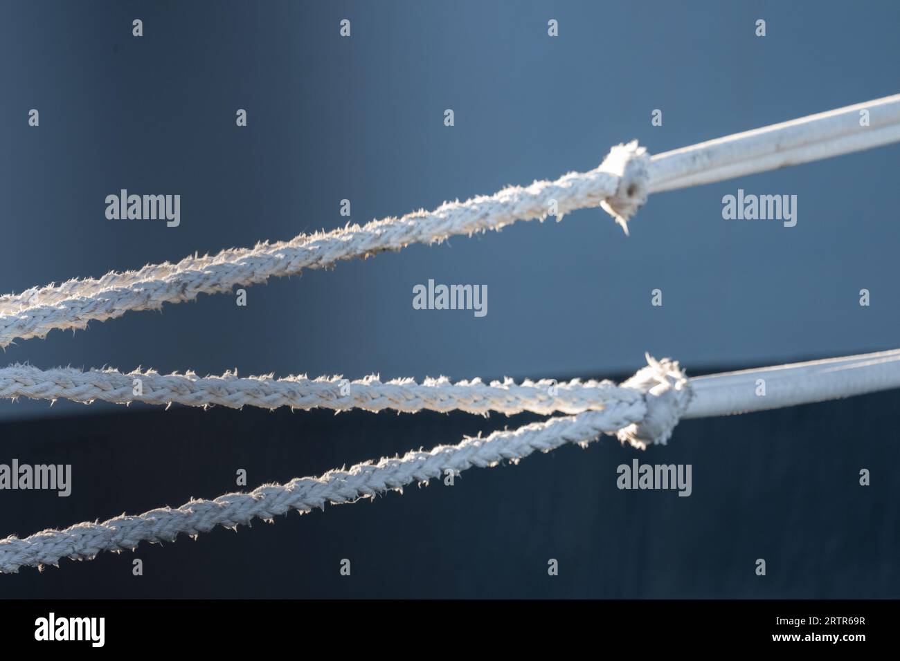 Tough white ropes of a navy ship Stock Photo - Alamy