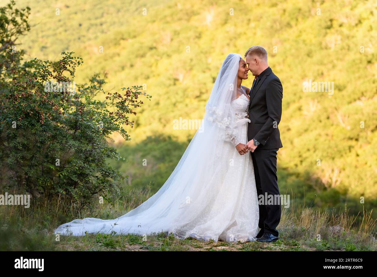 Full-length portrait of the newlyweds against the backdrop of brightly ...