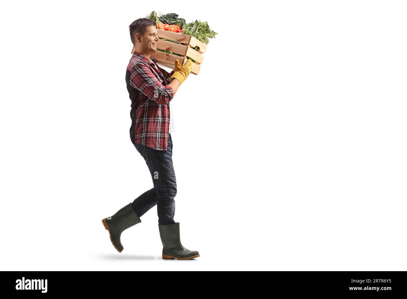 Full length profile shot of a male farmer carrying a crate with ...