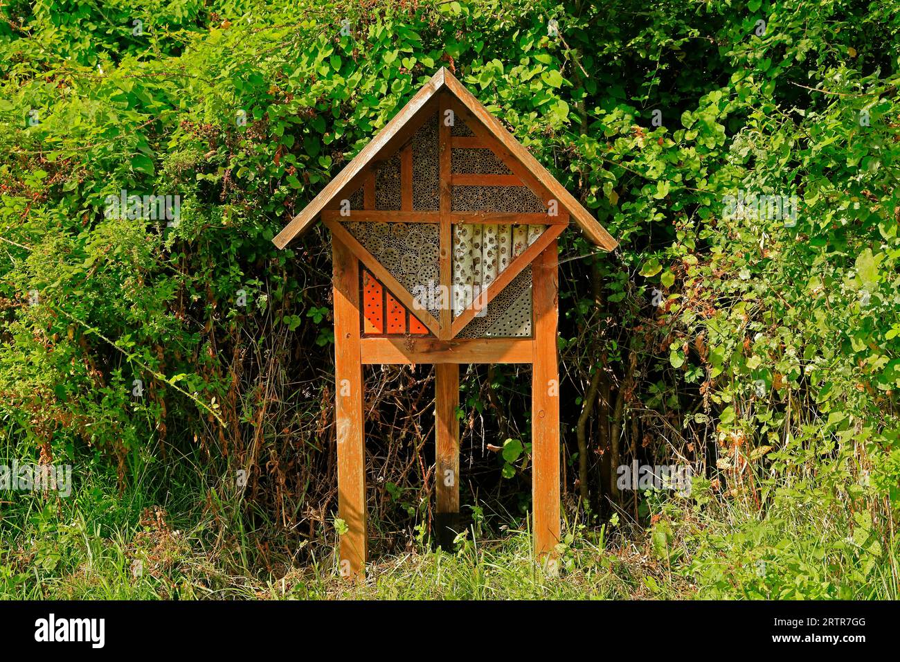 Wooden bee / bumble bee / insect house at Cosmeston Lakes and Country ...