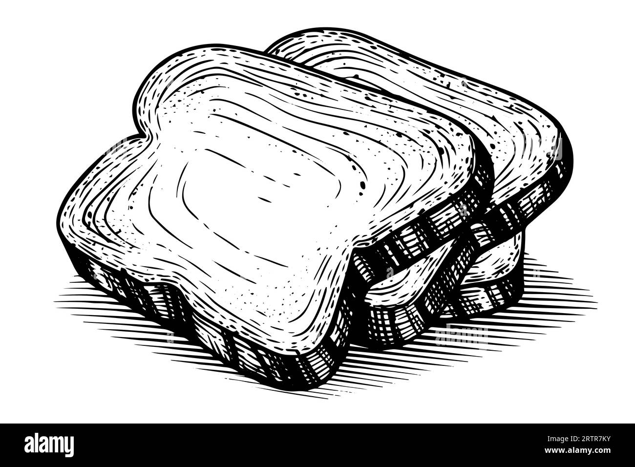 Toast slices sketch. Bread engraving in hand drawn style vector ...