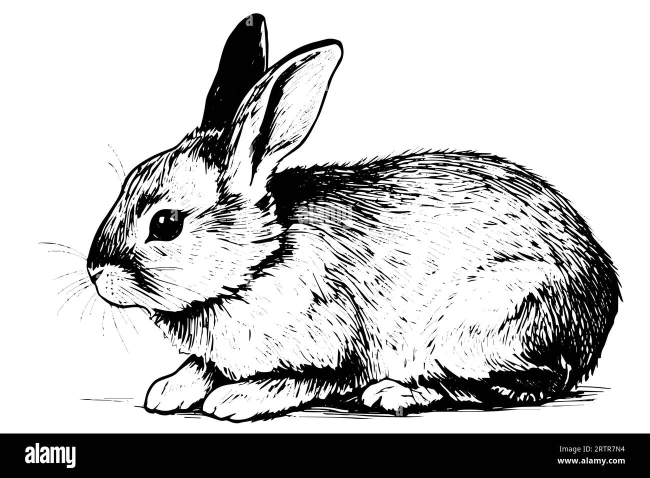 Engraving rabbit on white background .Vector ink sketch illustration ...