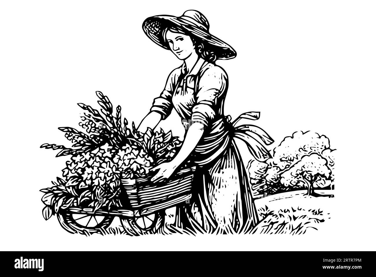 A woman farmer harvesting in the field in engraving style. Drawing ink ...