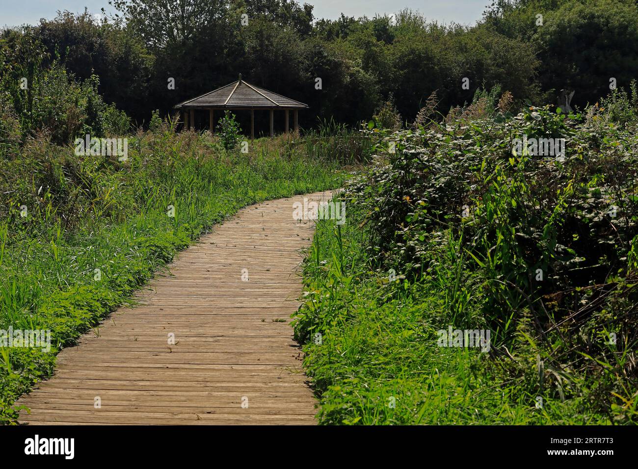 Cosmeston Lakes and Country Park, South Wales. Taken September 2023 ...