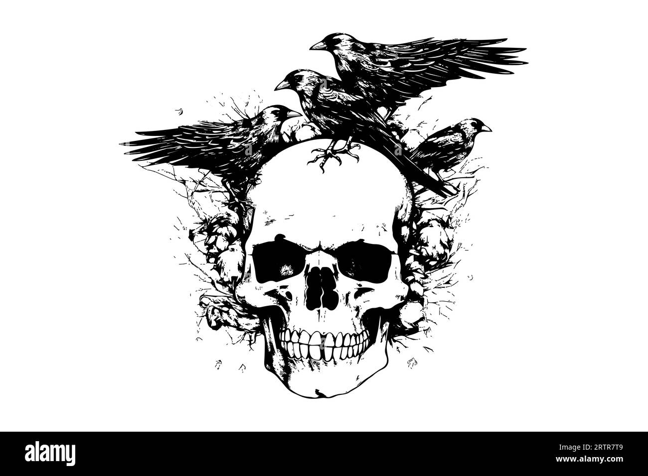 Human skull with birds in woodcut style. Vector engraving sketch ...