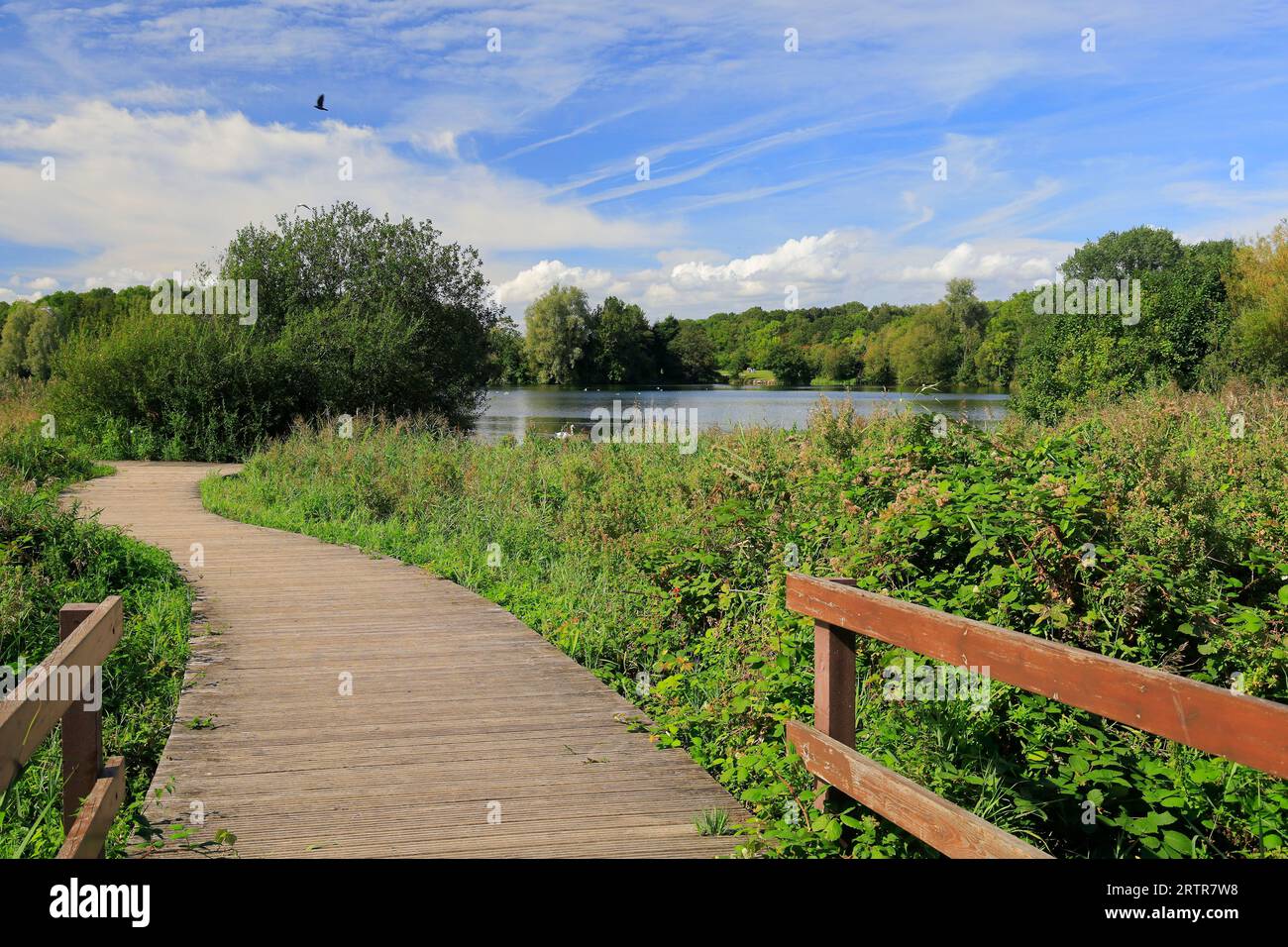 Cosmeston Lakes and Country Park, South Wales. Taken September 2023 ...