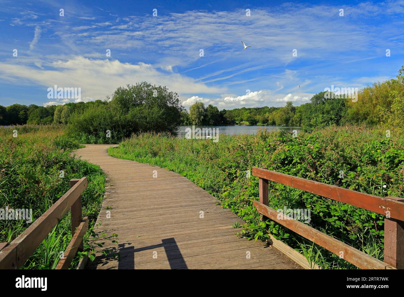 Cosmeston Lakes and Country Park, South Wales. Taken September 2023 ...