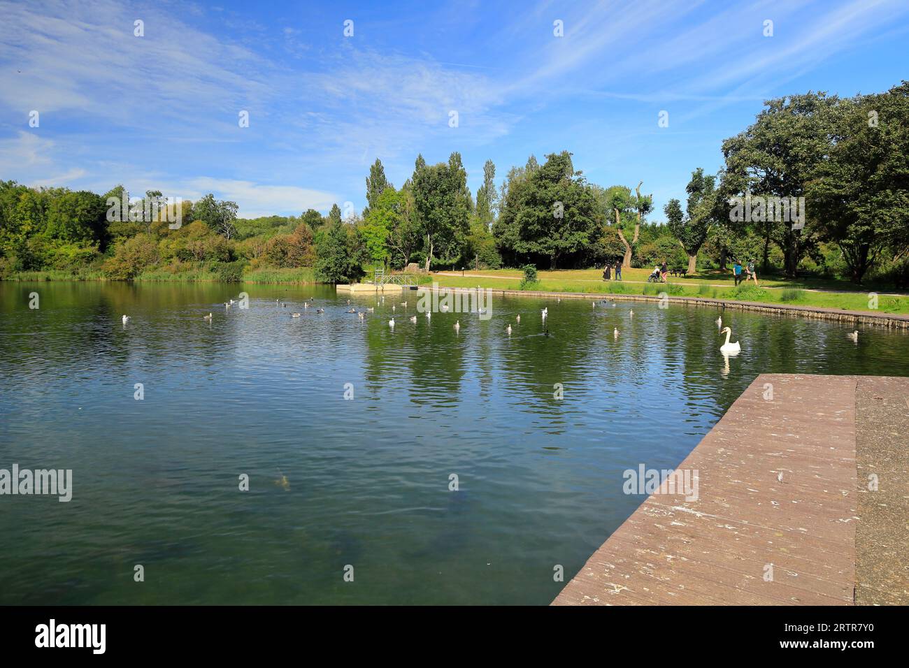 Cosmeston Lakes and Country Park, South Wales. Taken September 2023 ...