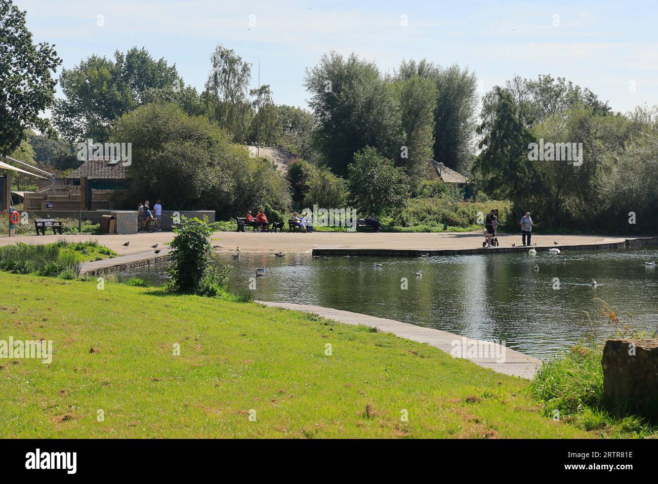 Cosmeston Lakes and Country Park, South Wales. Taken September 2023 ...