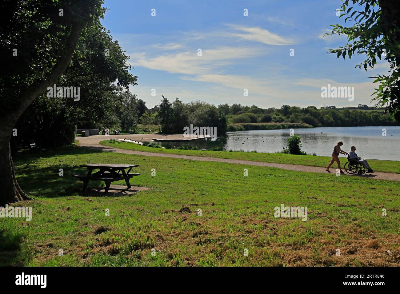 Man in wheelchair enjoys the view at Cosmeston Lakes and Country Park ...