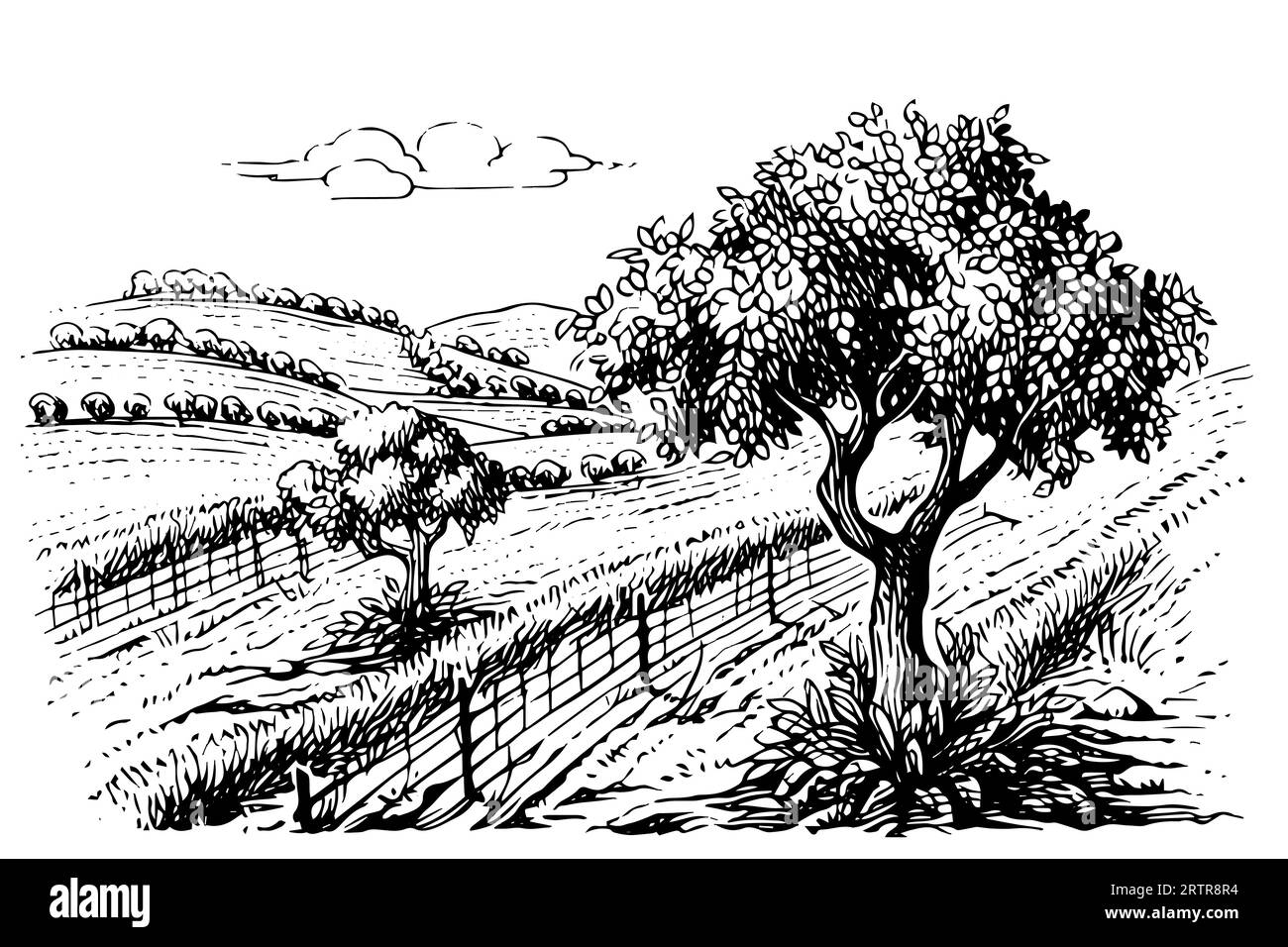 Rural landscape with trees in the field . Vintage hand drawn sketch ...