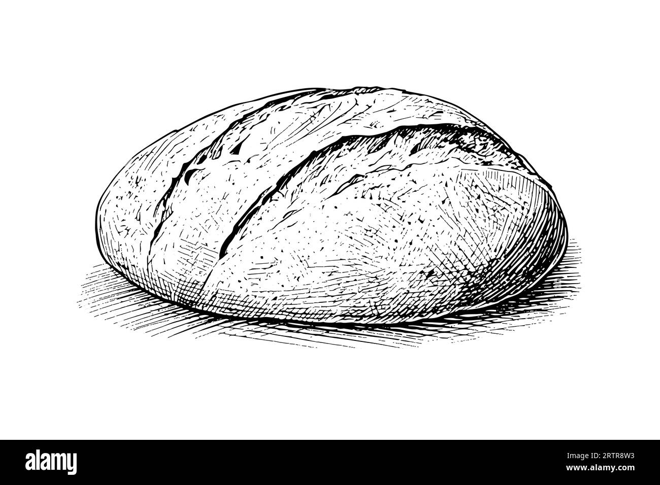 Loaf of bread. Vector hand drawn vintage engraving style vector ...