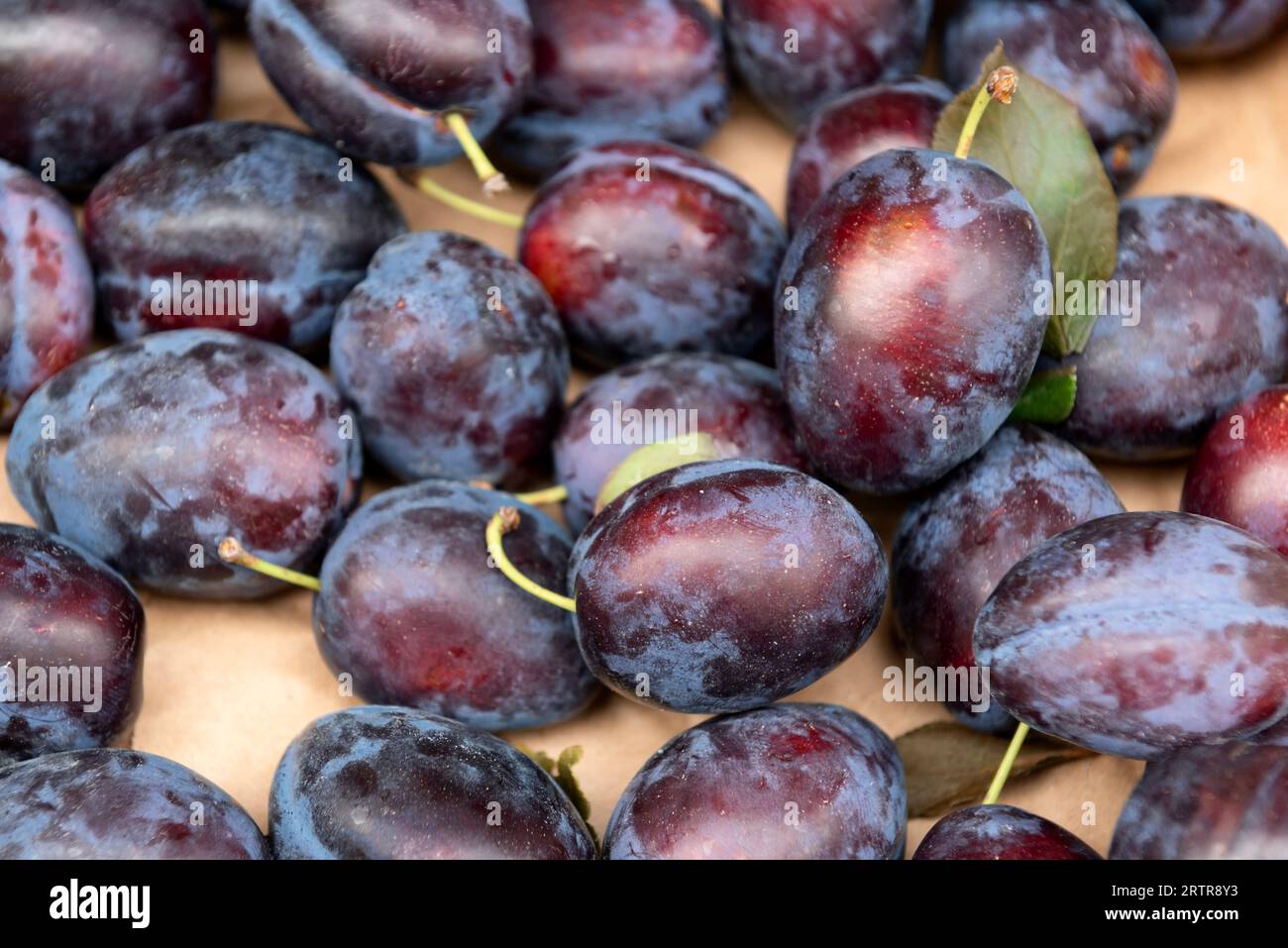 Purple plums hi-res stock photography and images - Alamy
