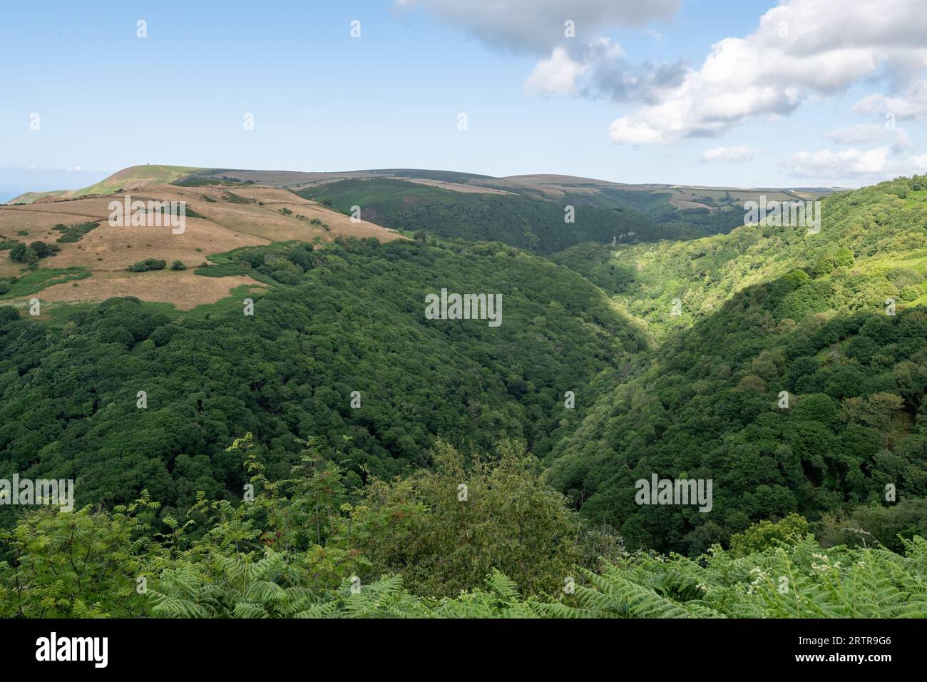 Landscape photo of Countisbury Hill and Watersmeet Valley in Exmmor ...