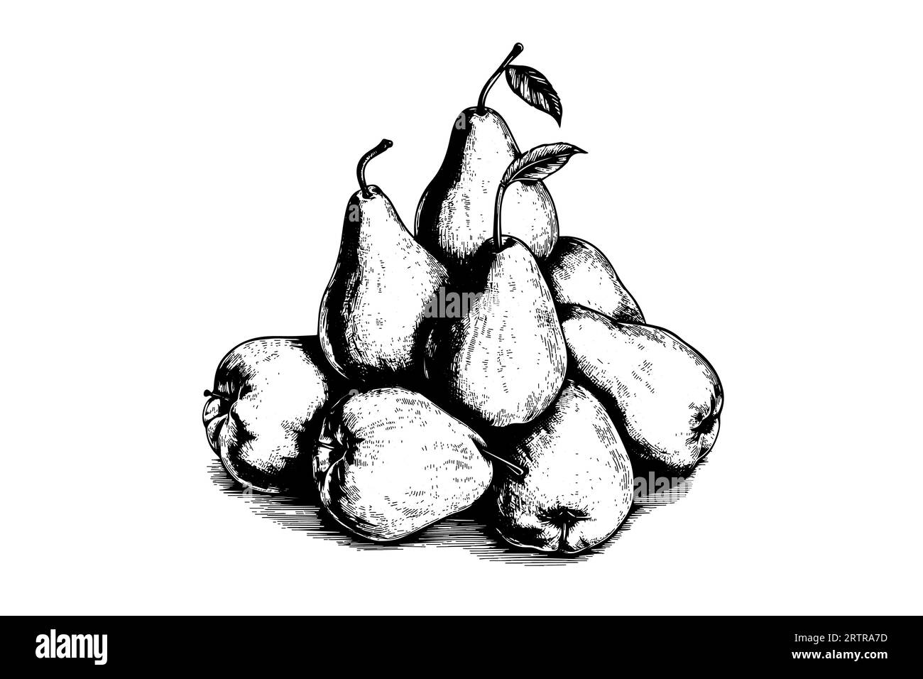 Pile of pears. Ink sketch isolated on white background. Hand drawn ...