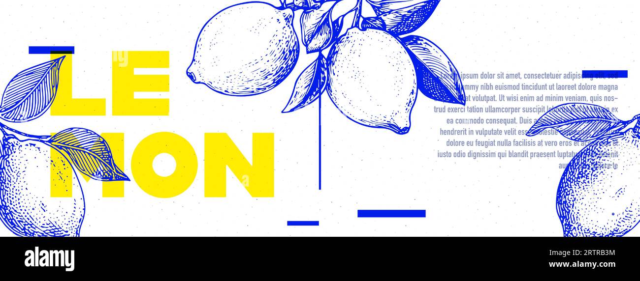 Yellow and blue poster or banner design with lemon in etching style ...