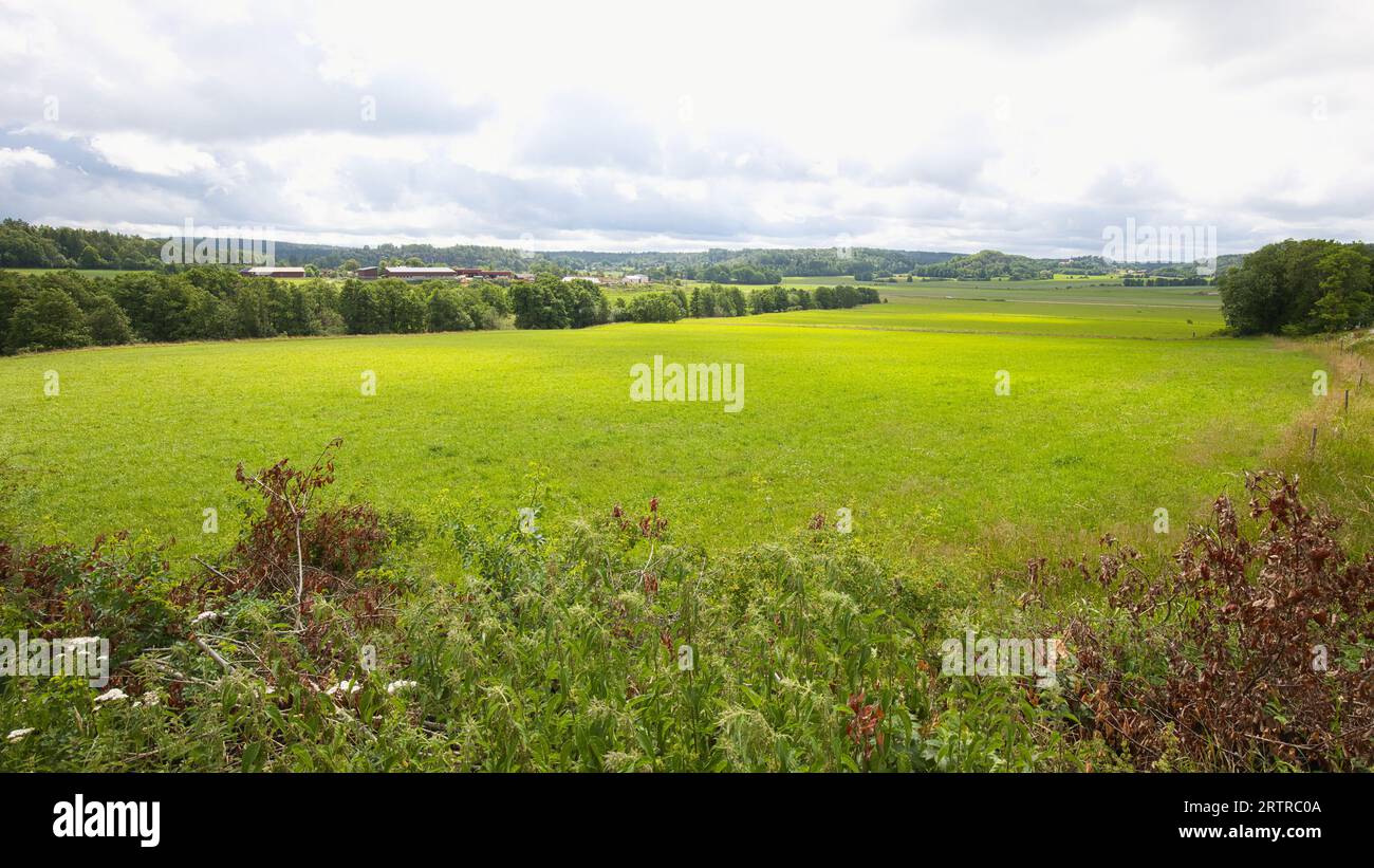 Wide view nordic countryside hi-res stock photography and images - Alamy