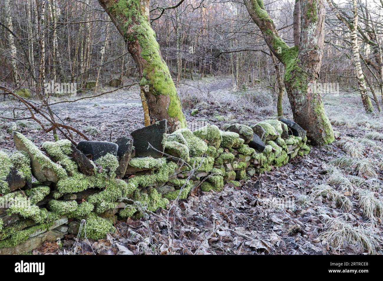 Earth scotland hi-res stock photography and images - Alamy