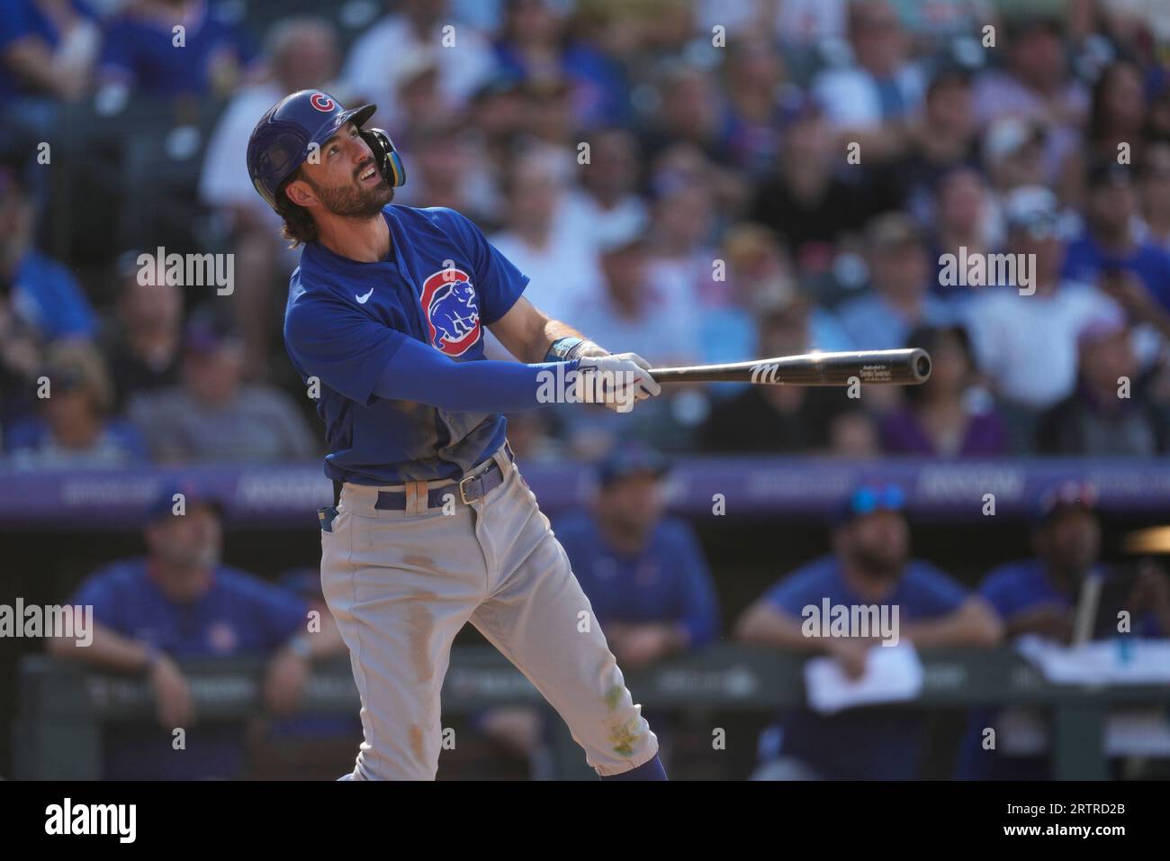 Chicago Cubs shortstop Dansby Swanson (7) in the ninth inning of a ...