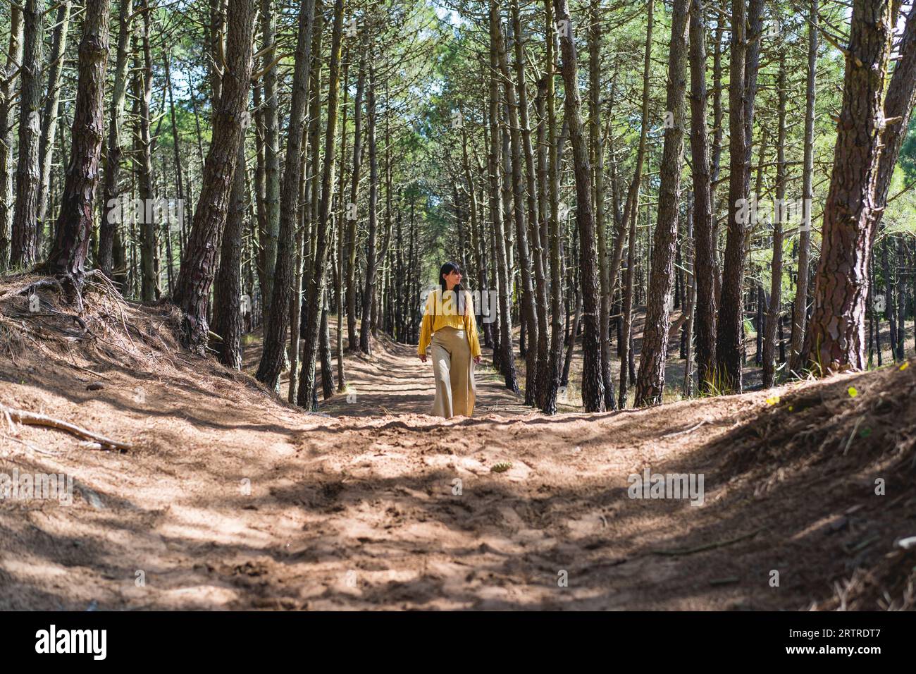 Adult woman walking over a path under the trees in the forest Stock ...