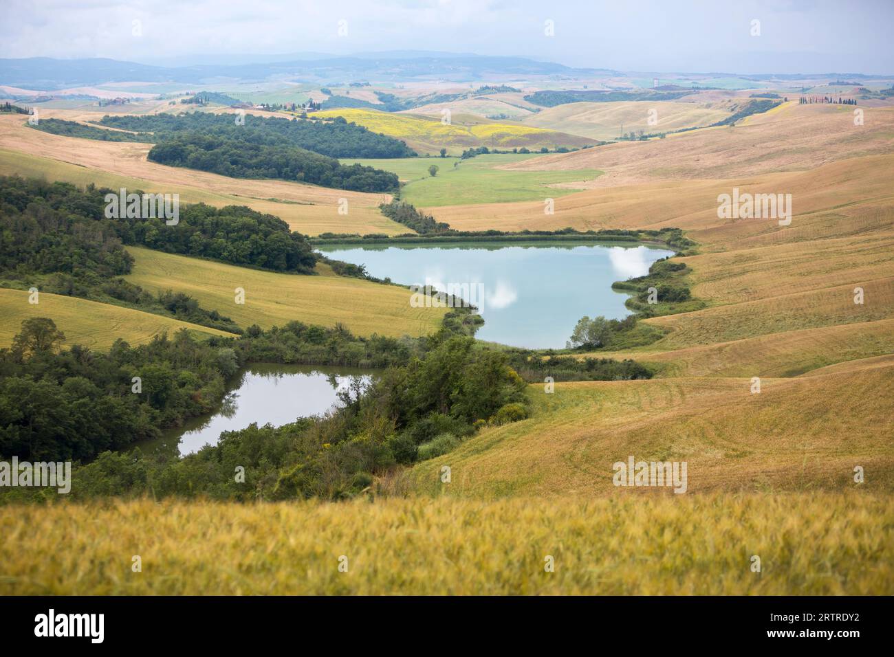 Typical green Tuscany landscape with a view of the fields, ponds, and ...