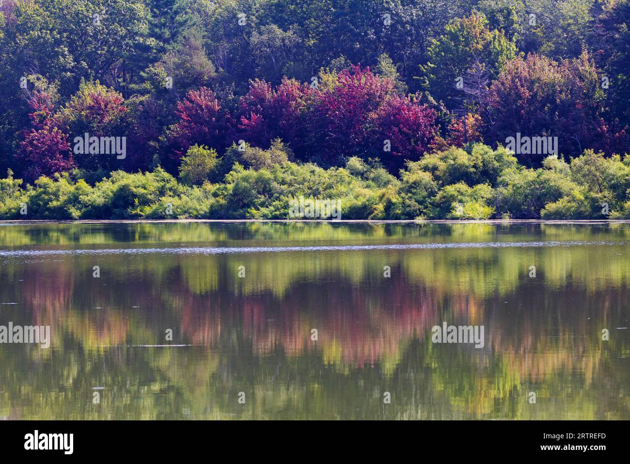 Canada oka national park autumn hi-res stock photography and images - Alamy