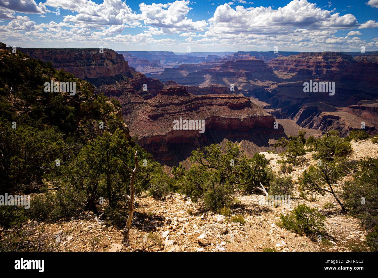 National Park Grand Canyon scenic view. Panorama Arizona USA from the ...