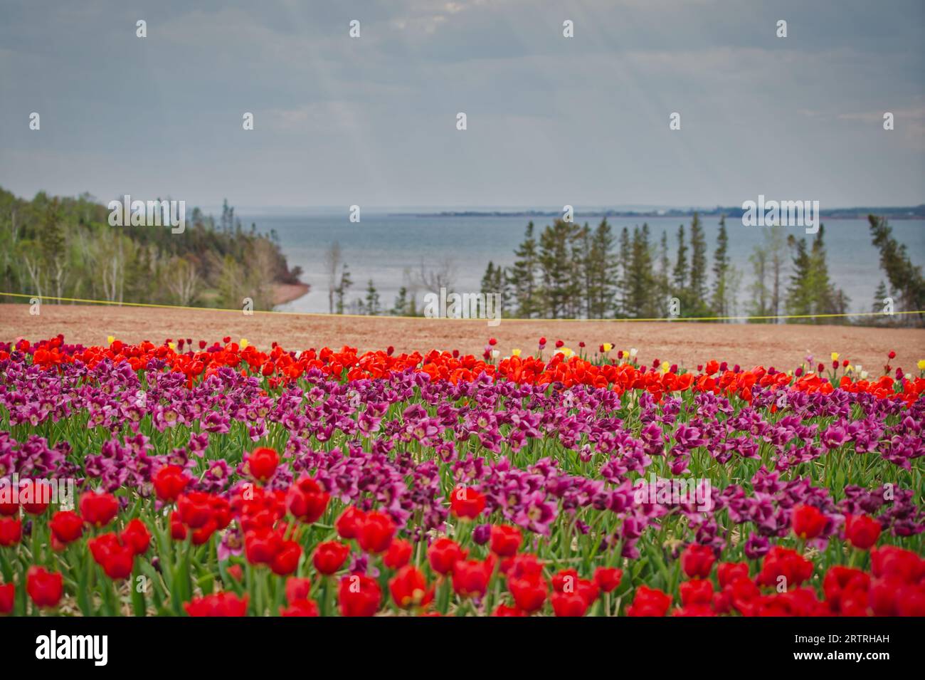 Farms and gardens hi-res stock photography and images - Alamy