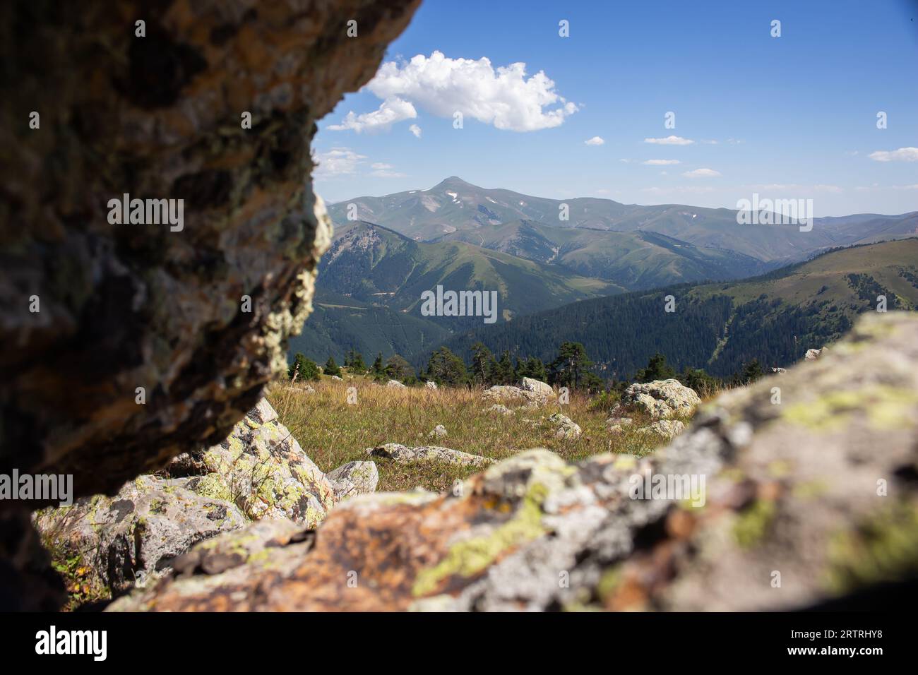 Turkey plateau view through the rock. Pine in the high mountains ...