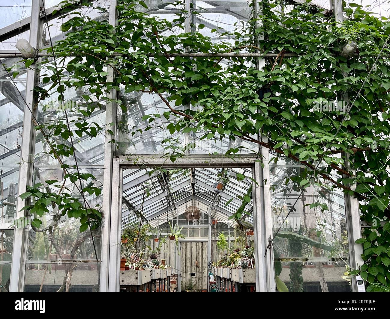 Wave Hill Public Garden and Cultural Center, Marco Polo Stufano ...