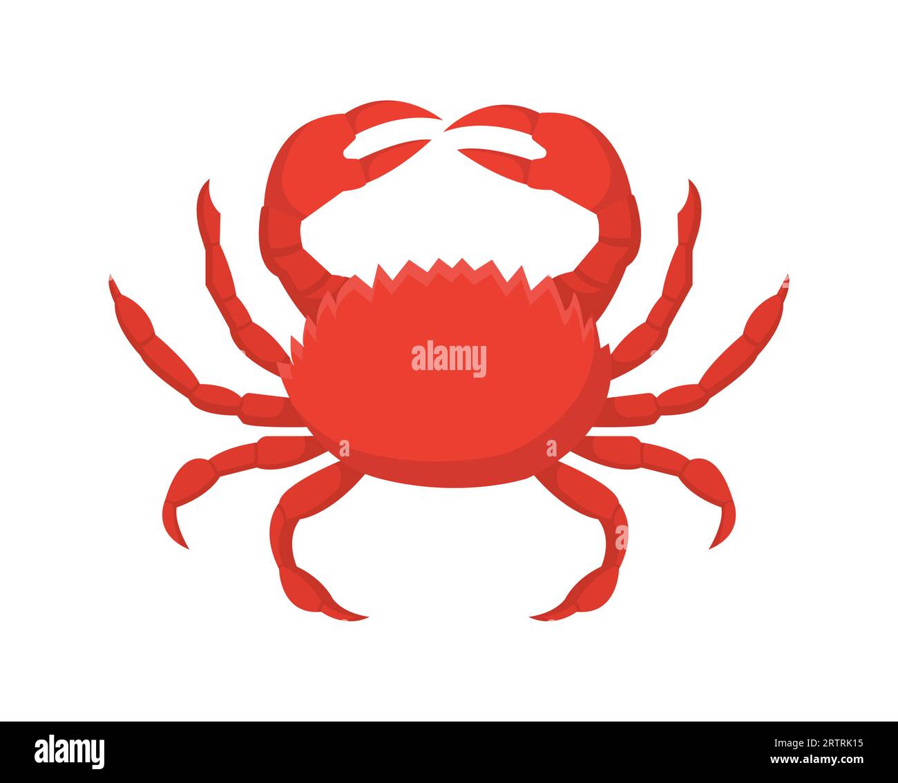 Mangrove and shell Stock Vector Images - Alamy