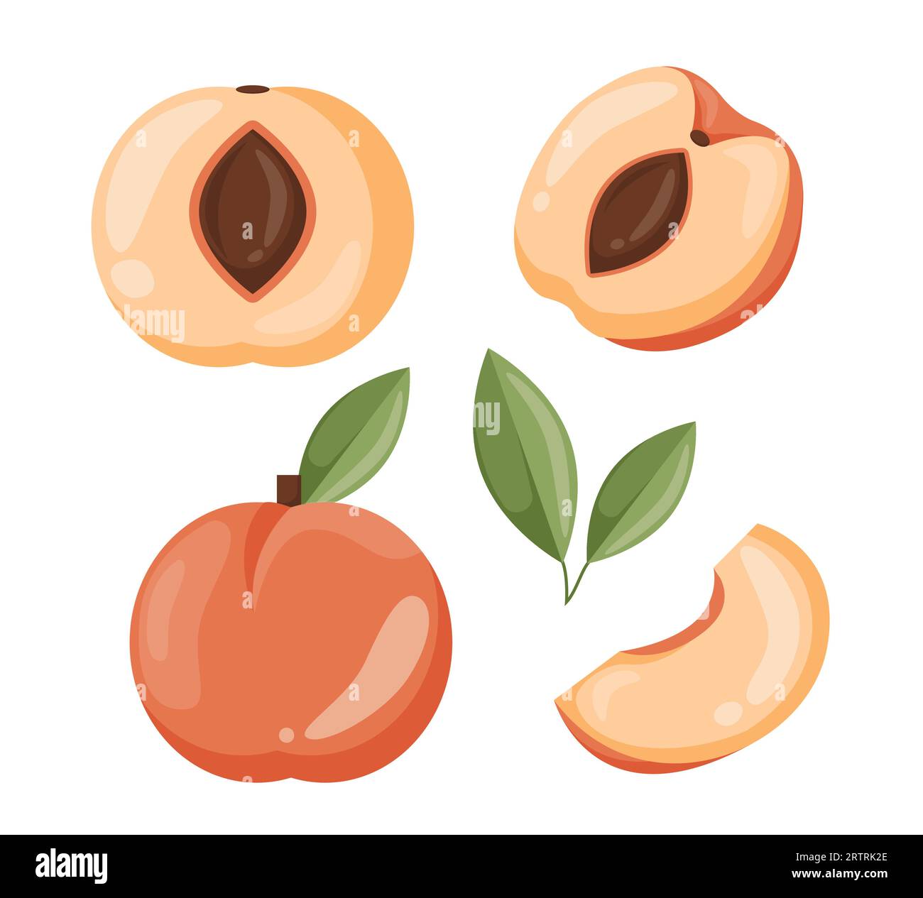 Set of peach vector concept Stock Vector Image & Art - Alamy