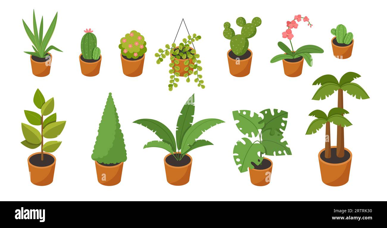 Isometric plants vector set Stock Vector Image & Art - Alamy