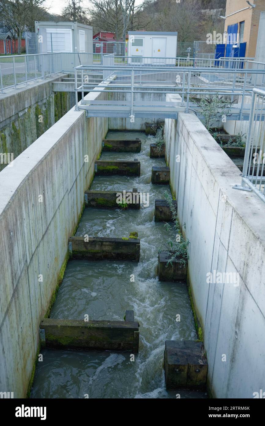 Weir ladder hi-res stock photography and images - Alamy