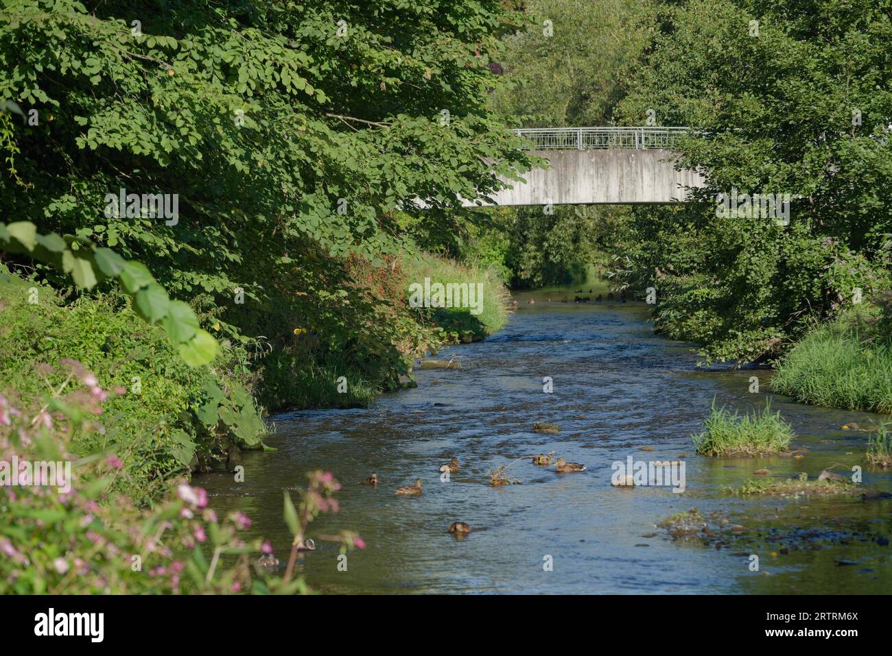 River section on the Murr, Murrhardt, Murr, Murrtal, Rems-Murr, Rems ...