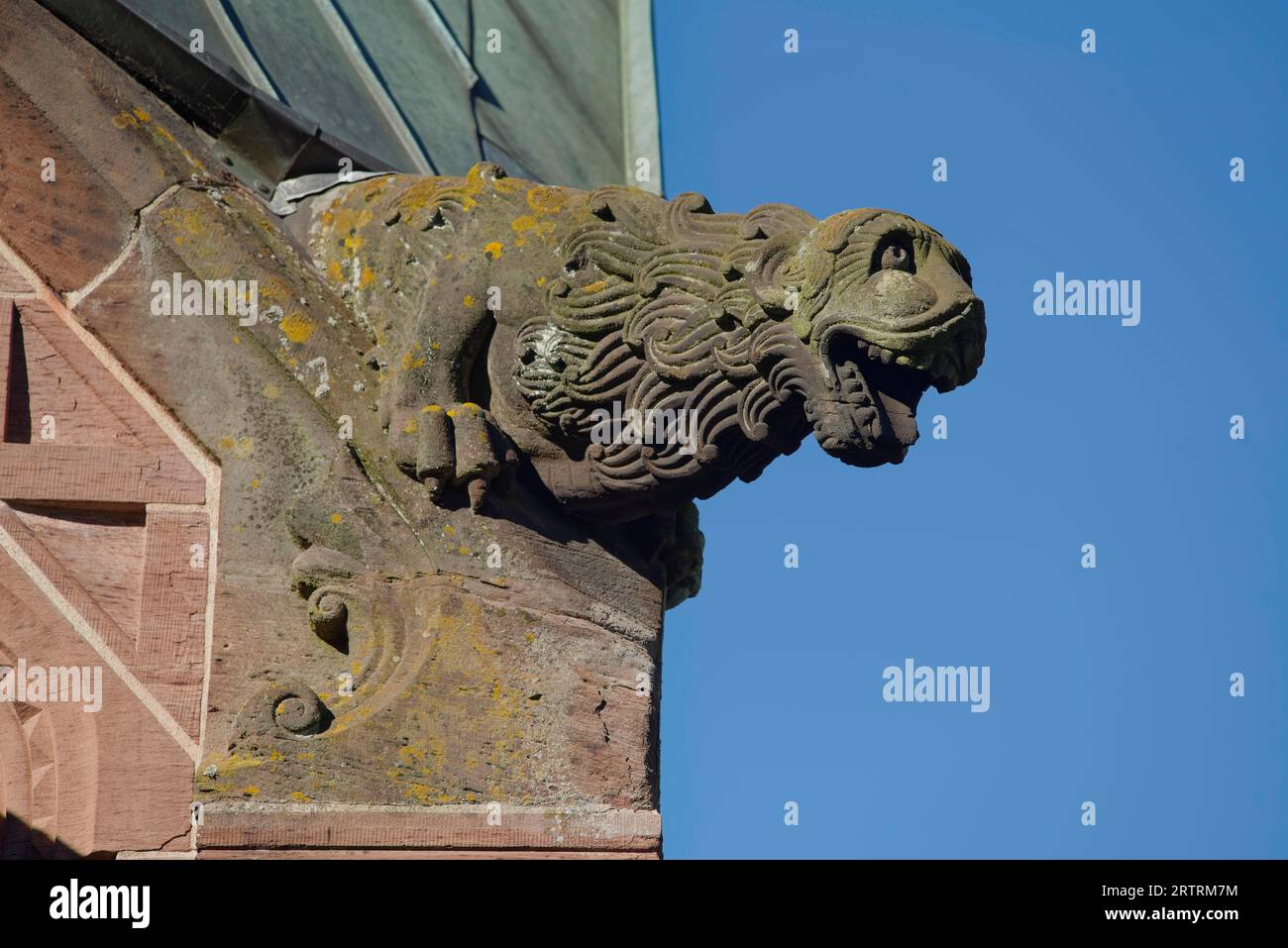 Schwaebisch fraenkischer wald hi-res stock photography and images - Alamy