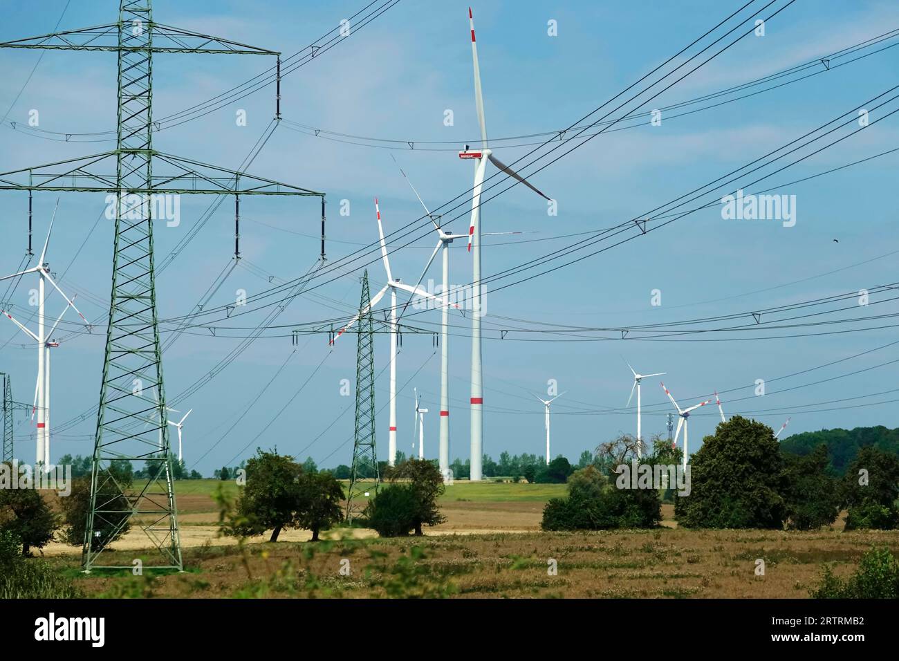 Summer energy hi-res stock photography and images - Alamy