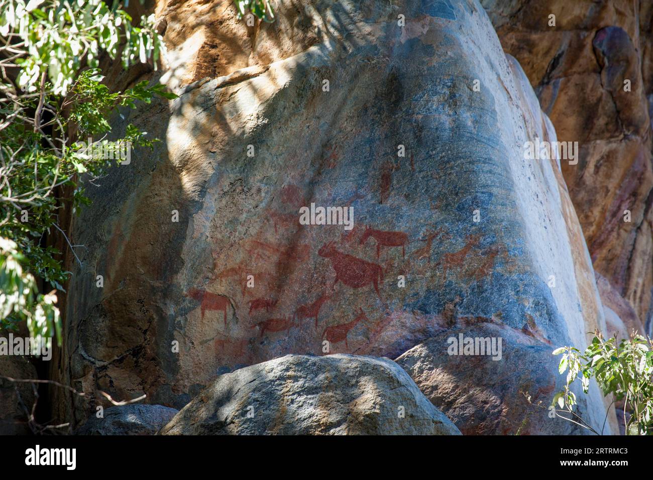 Rock rock painting in Tsodilo Hills, Botswana Stock Photo - Alamy