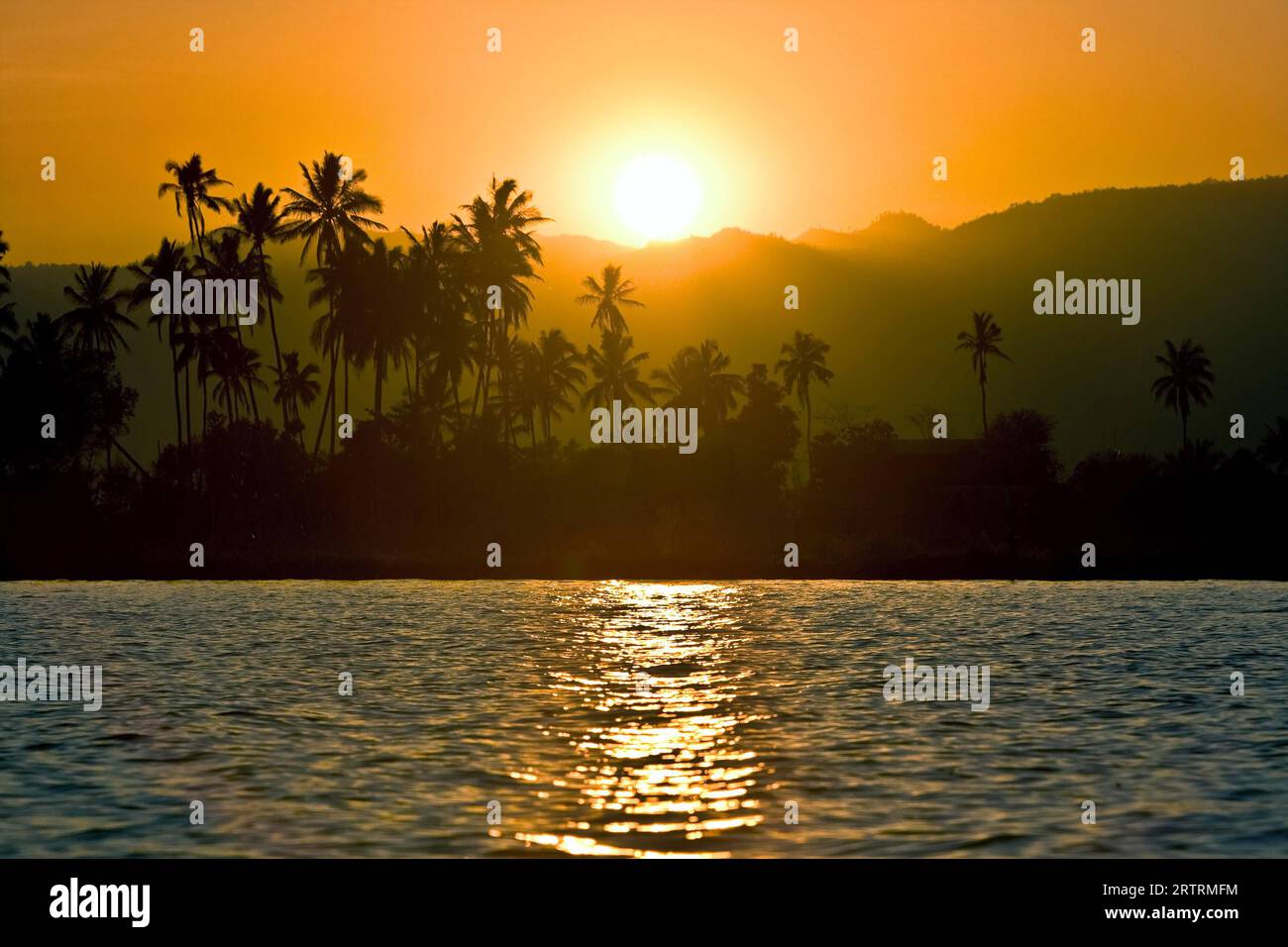 Sunset and palm trees on Inle Lake, fishing in a small boat, Myanmar ...