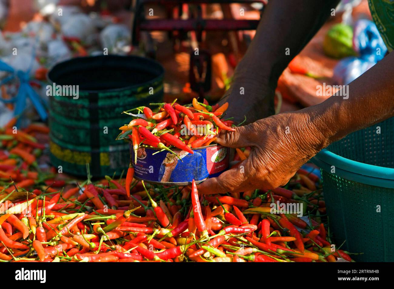 Chilli (Capsicum) sale on the market, Indonesia Stock Photo - Alamy