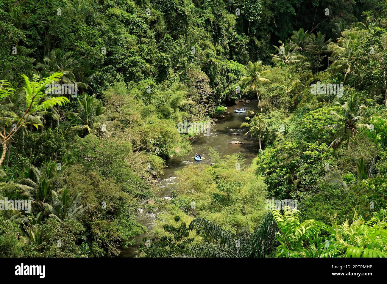 Tropical forest and white water rafting, Bali, Indonesia Stock Photo ...